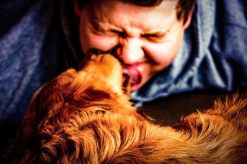 7 Dog Breeds Most Likely To Trigger Allergies, According To Vets ...